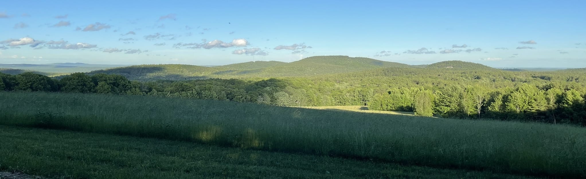 Leary Field and Forest Trail Loop, New Hampshire - 20 Reviews, Map ...