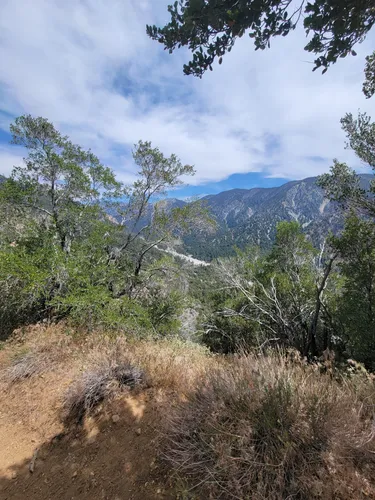 10 Best Trails and Hikes in Forest Falls | AllTrails