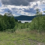 Shavertown Trail, New York - 275 Reviews, Map | AllTrails