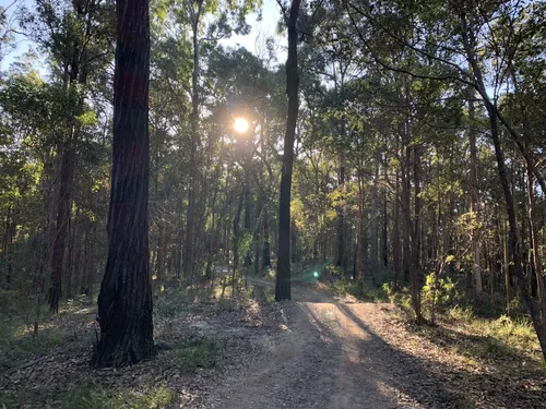 10 Best Trails and Hikes in Mount Cotton | AllTrails