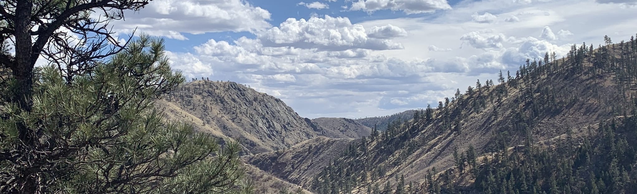 Gateway Natural Area Overlook Trail: 31 Reviews, Map - Colorado | AllTrails