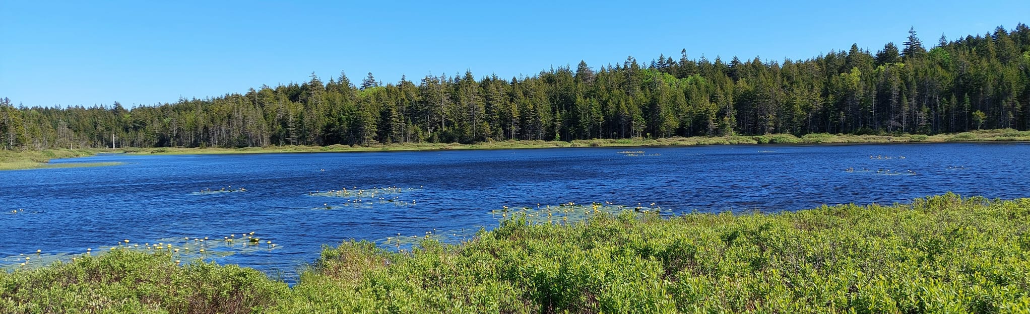 Marven Lake via Bennett Brook Trail: 35 Reviews, Map - New Brunswick ...