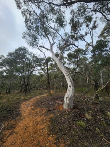 Best Hikes and Trails in Enfield State Park | AllTrails