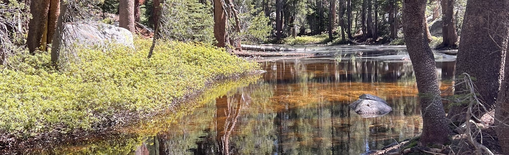 Ottoway Lake via Chiquito Trailhead, California - 6 Reviews, Map ...