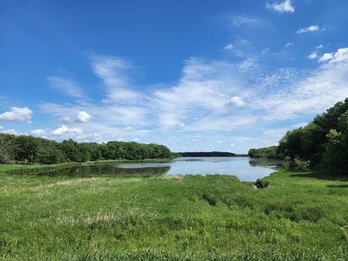 Best Hikes and Trails in Myre-Big Island State Park | AllTrails