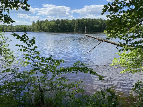 Best Hikes and Trails in Stevens Point | AllTrails