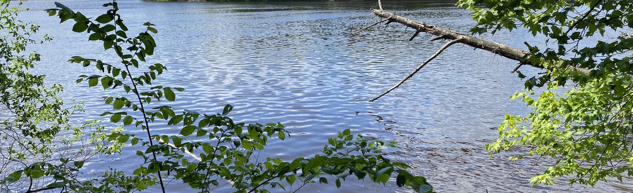 Mead Park to Whiting Conservation Area via Green Circle Trail: 50 ...