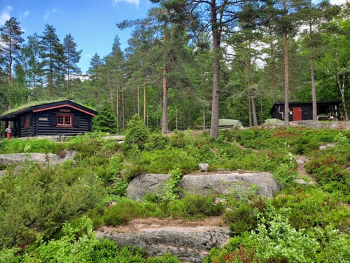 2023 Best Wild Flowers Trails in Blåfjell naturreservat | AllTrails