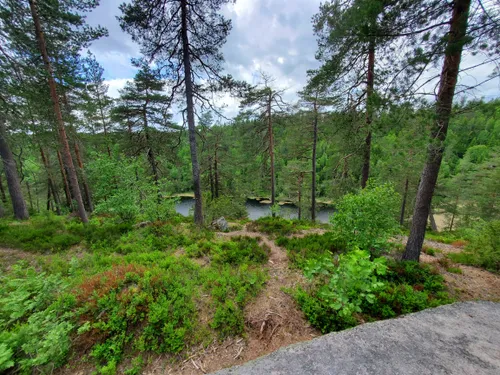 Best Dog Friendly Trails in Blåfjell naturreservat | AllTrails