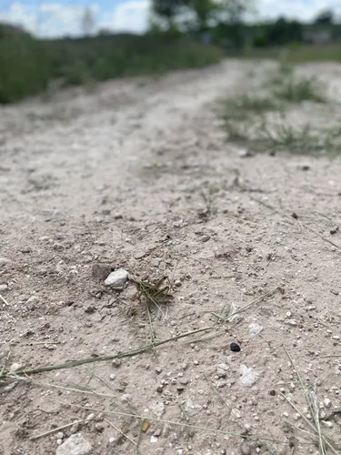 Best Hikes and Trails in Blackwater Draw National Historic Landmark and ...