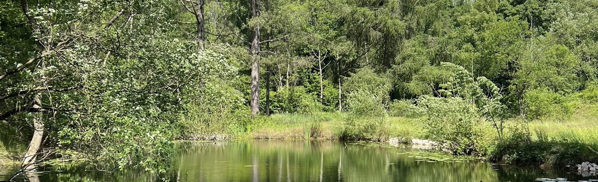 Calke Park and Ticknall: 25 Reviews, Map - Derbyshire, England | AllTrails