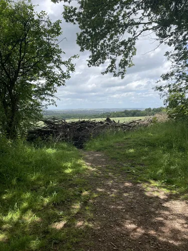 10 Best Hikes and Trails in Martin Down National Nature Reserve | AllTrails