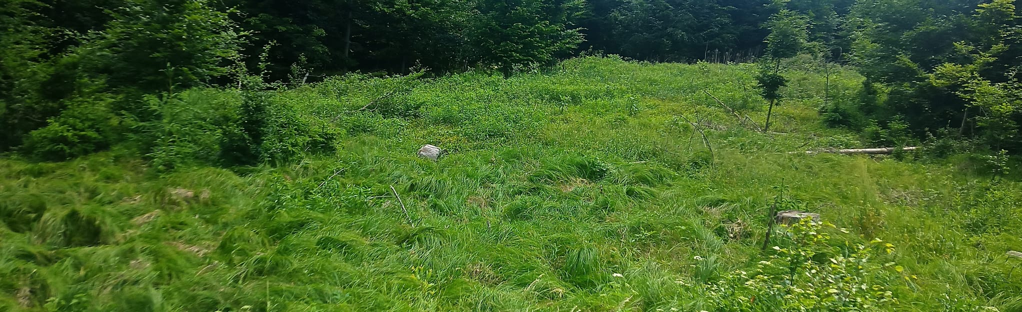 Cycle route Wessling - Schoengeising, Bavaria, Germany - 2 Reviews, Map ...