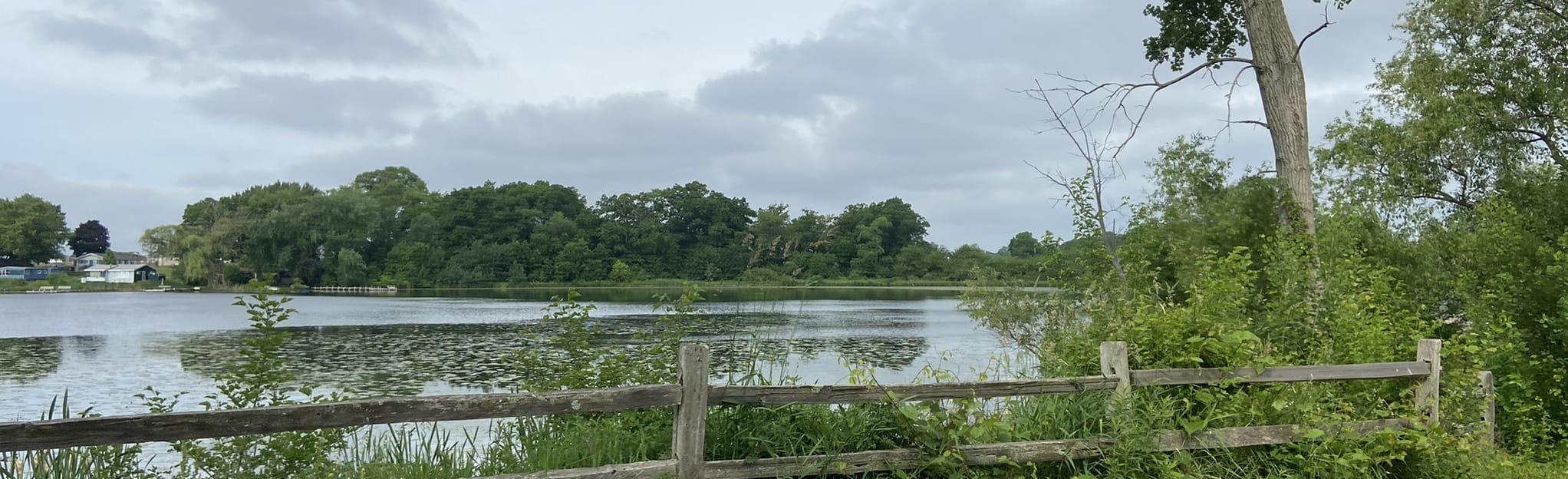 Raven Glen Preserve Trail: 155 Reviews, Map - Illinois | AllTrails