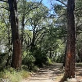 Via Domitia: Saint-Rémy-de-Provence, Bouches-du-Rhône, France - 27 ...