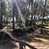 Via Domitia: Saint-Rémy-de-Provence, Bouches-du-Rhône, France - 27 ...