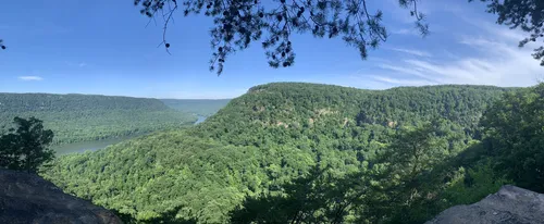 10 Best Hikes and Trails in Prentice Cooper State Forest | AllTrails