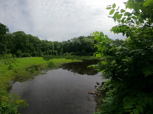 Best Hikes and Trails in Beaver Brook Reservation | AllTrails