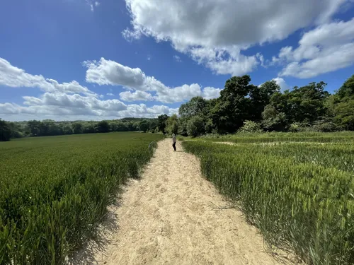 10 Best Historic Site Trails in High Weald National Landscape (AONB ...