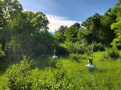 Best Hikes and Trails in Stone Valley Recreation Area | AllTrails