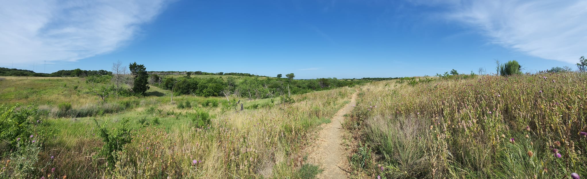 Talala Trail, Texas - 543 Reviews, Map | AllTrails