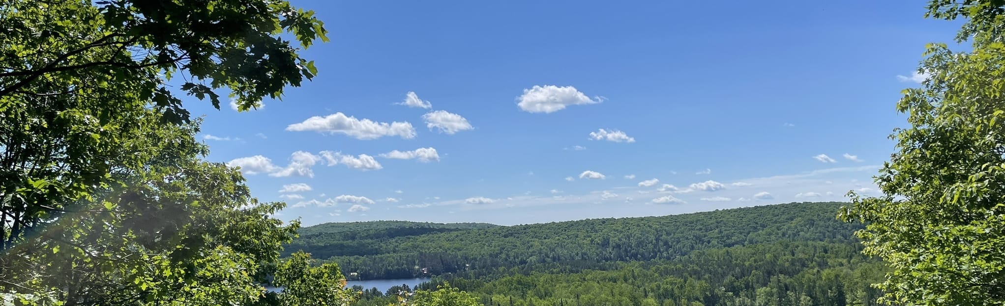 Lake St. Peter Loop, Ontario, Canada - 103 Reviews, Map | AllTrails