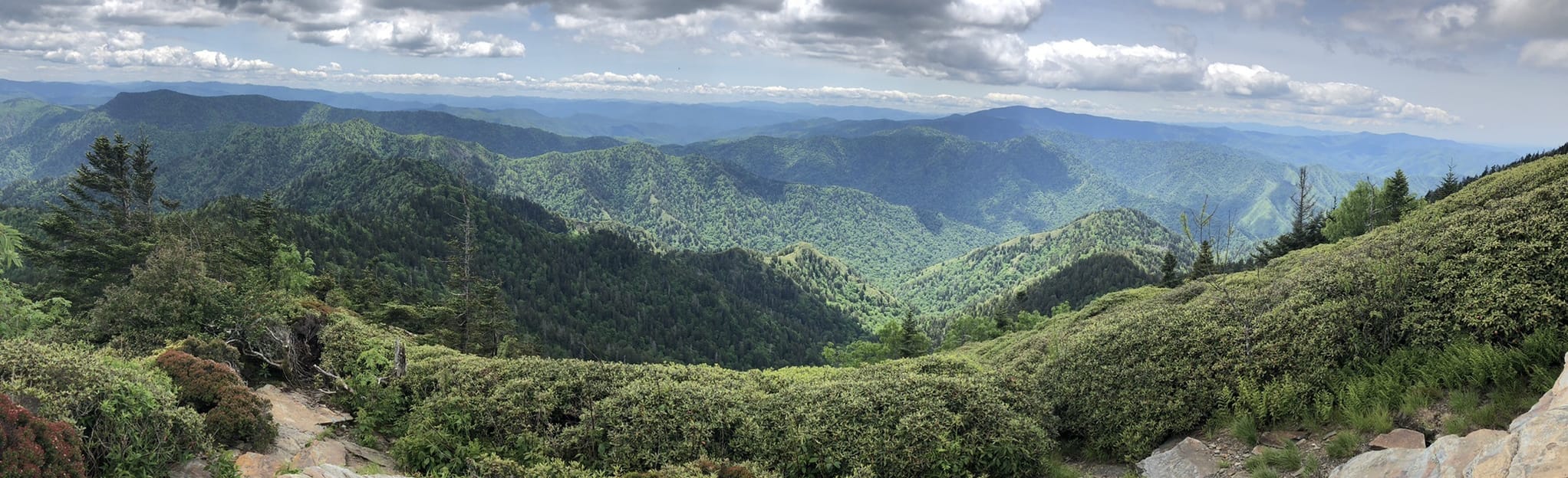 Myrtle Point via Appalachian Trail and Boulevard Trail: 206 Reviews ...