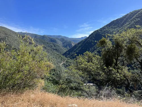 10 Best Hikes and Trails in Stanislaus National Forest | AllTrails