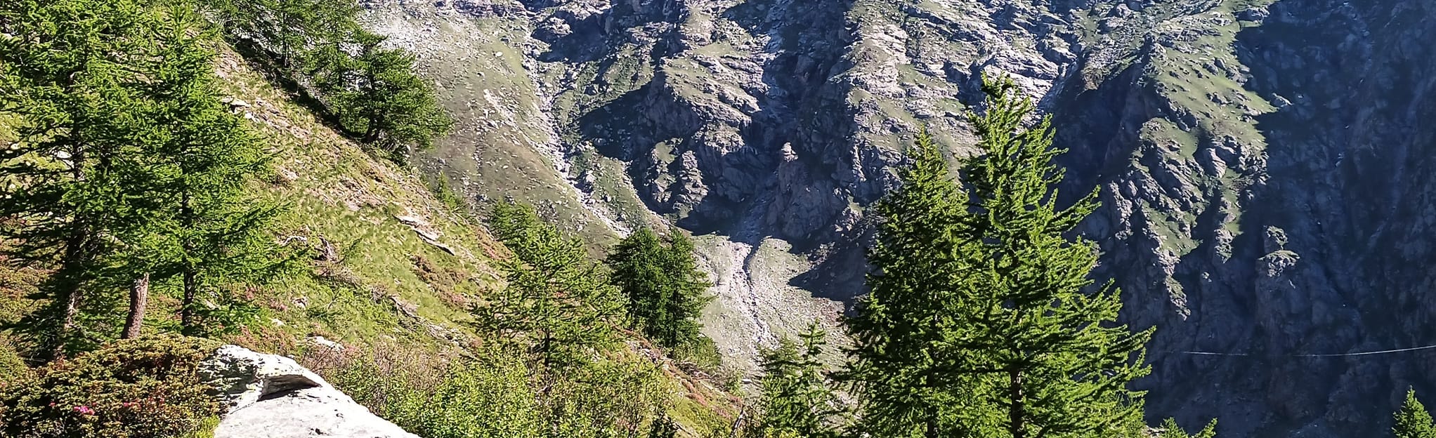 Via Alpina Blue Trail, Segment 37: Rifugio Levi-Molinari - Rifugio D ...