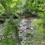 Erwin Linear Trail, Tennessee - 123 Reviews, Map | AllTrails