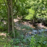 Erwin Linear Trail, Tennessee - 123 Reviews, Map | AllTrails