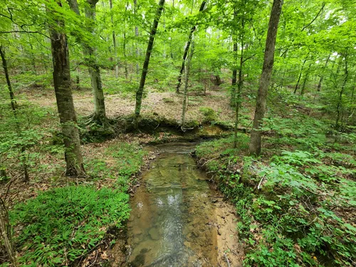 10 Best Easy Trails in Oak Mountain State Park | AllTrails