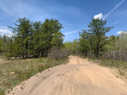 Best Hikes and Trails in Redwater Provincial Recreational Area | AllTrails