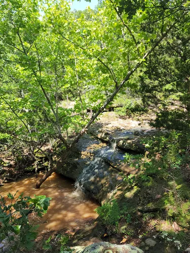 Best Hikes and Trails in Keystone Ancient Forest | AllTrails