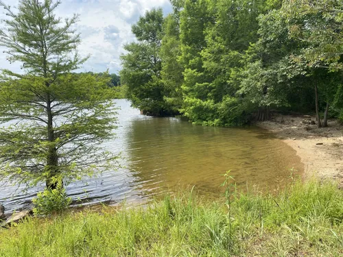 Best Hikes and Trails in Forest Ridge Park | AllTrails