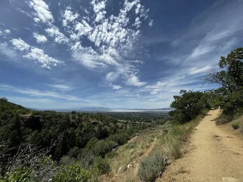 10 Best Trails and Hikes in Layton | AllTrails