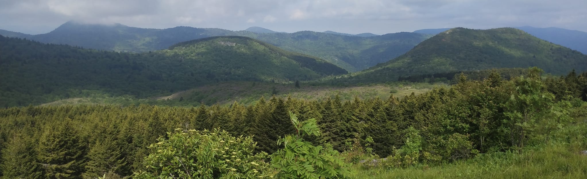 AllTrails | Black Balsam and Tennent Mountain Loop: 257 Reviews, Map ...