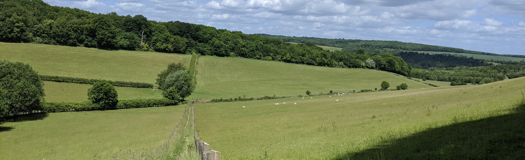 Medway Valley Rail Trail: Halling to Cuxton: 128 foto's - Kent ...