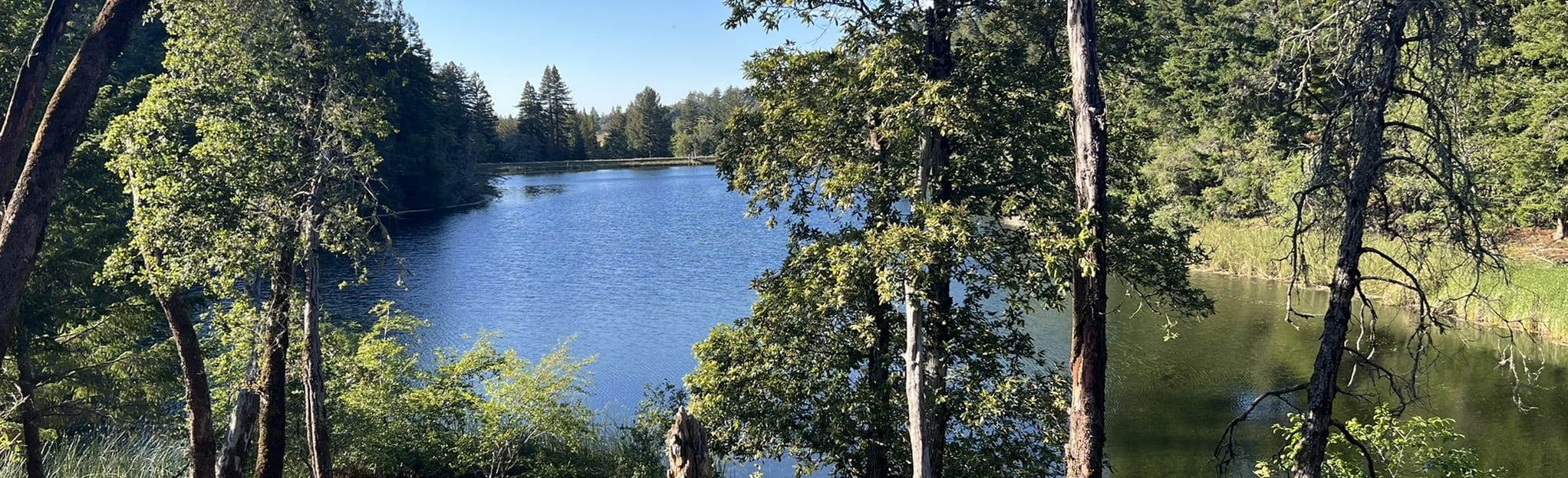 Lake Lagunitas to Mount Tamalpais Loop, California - 228 Reviews, Map ...