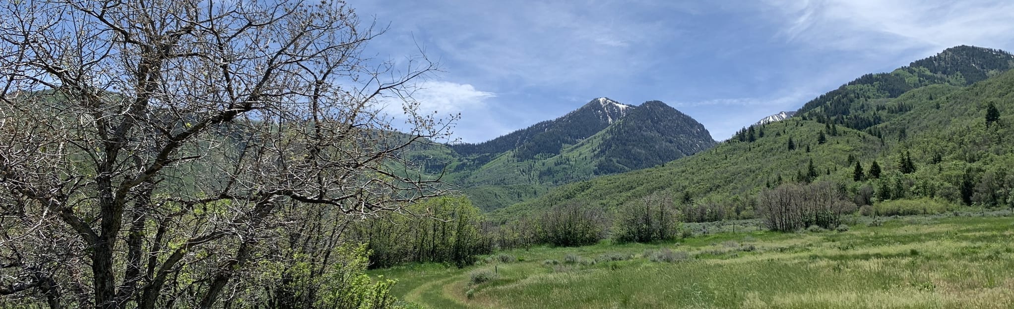 Western Trail to Big Spring Hollow: 109 Reviews, Map - Utah | AllTrails