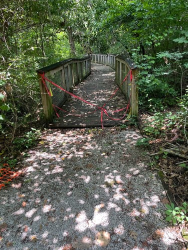 Best Hikes and Trails in Bluebonnet Swamp Nature Center | AllTrails