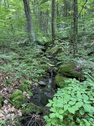 Best Hikes and Trails in Clam River Reserve | AllTrails