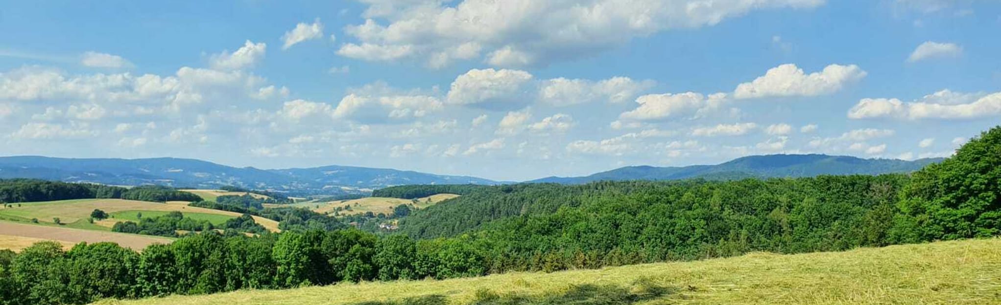 Rimbach - Weiher - Rohrbach, Hesse, Germany - Map, Guide | AllTrails