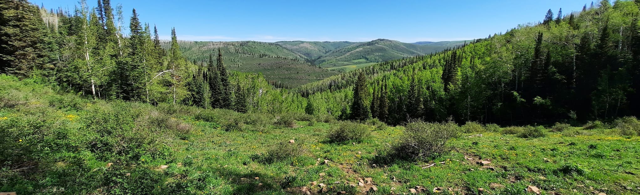 Last Chance Trail, Colorado - 3 Reviews, Map | AllTrails