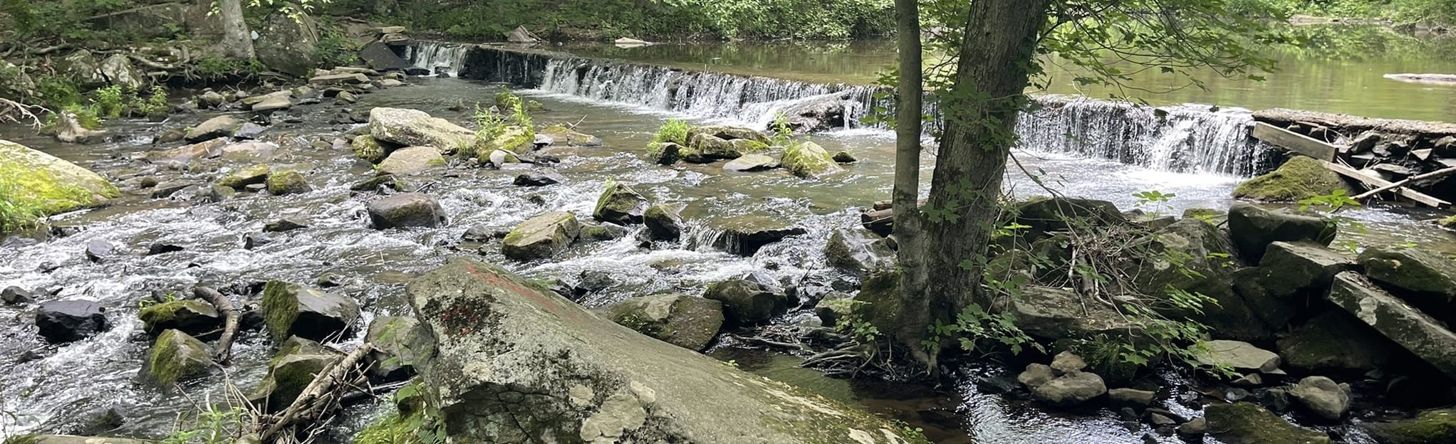 Saint Pete's Trail, Pennsylvania - 655 Reviews, Map | AllTrails