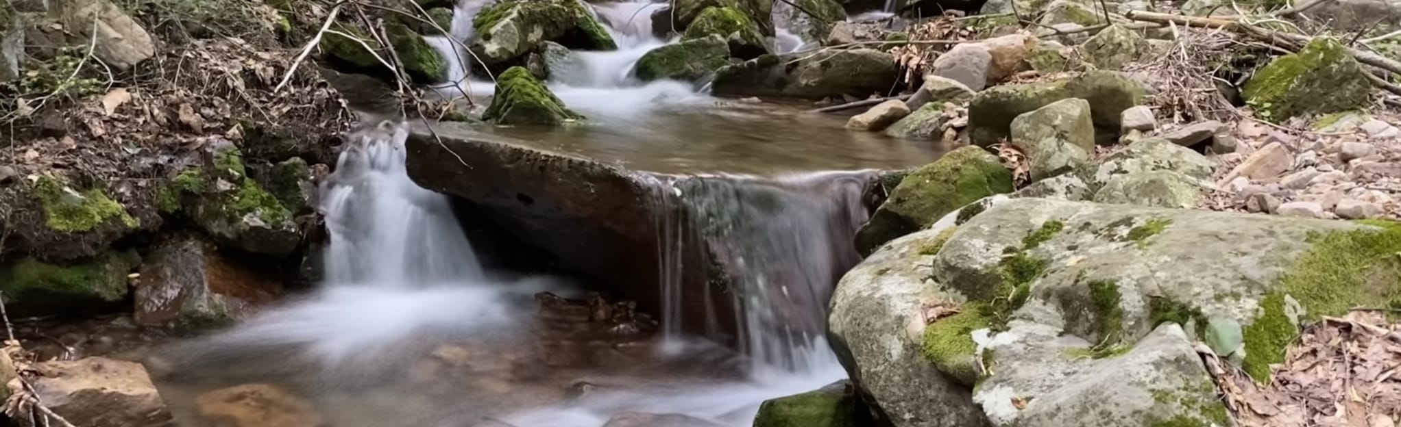 Bear Gap Trail, Pennsylvania - 9 Reviews, Map | AllTrails