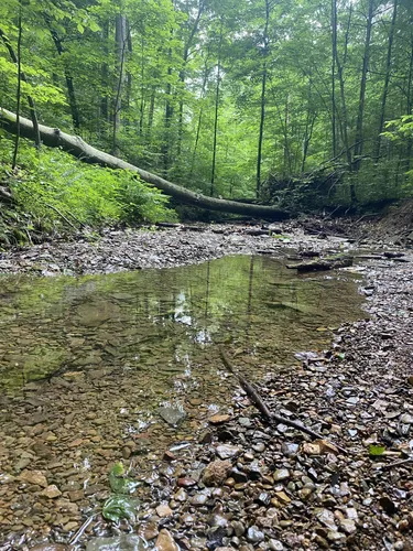 10 Best Trails and Hikes in Bloomington | AllTrails