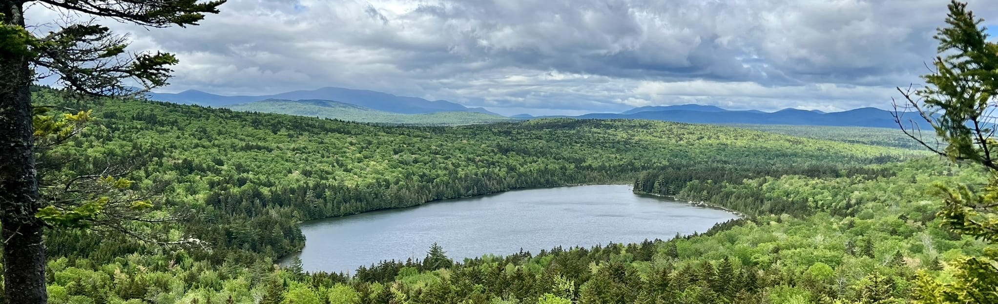 Turtle Ridge Loop Trail, Maine - 32 Reviews, Map | AllTrails