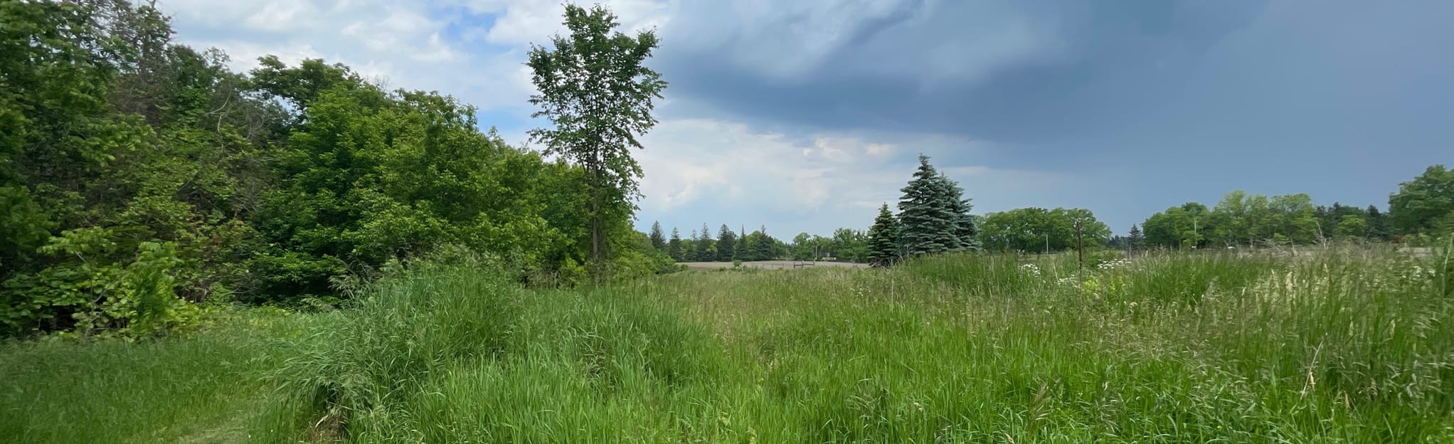 Bob Hunter Memorial Park from 14th Avenue: 71 Reviews, Map - Ontario ...