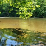 Gring's Mill Trail, Pennsylvania - 992 Reviews, Map | AllTrails